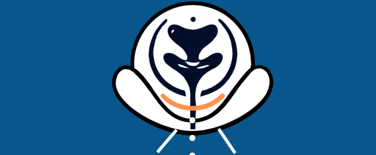 Pelvic Chair – Pelvic Chair